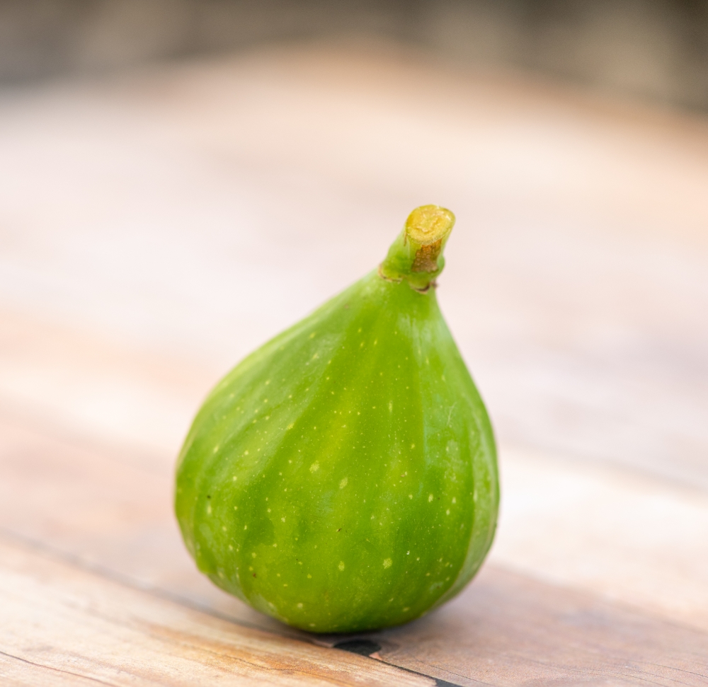 Single Whole Fig Closeup Blurred Background - Classroom Clip Art