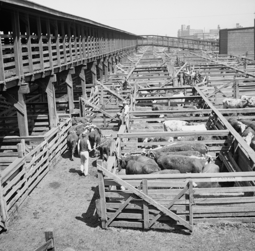 Stockyards Kansas City Kansas 1936 - Classroom Clip Art