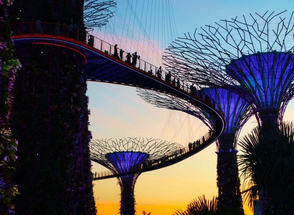 Supergroove trees at the light show of Gardens by the Bay Singap ...