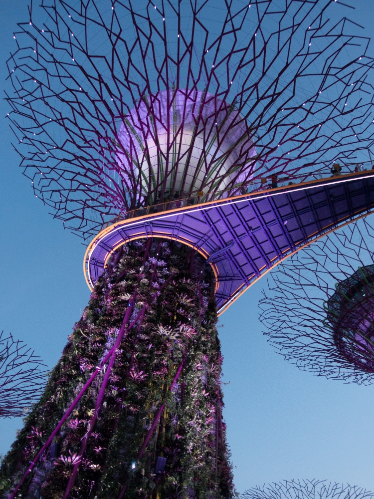 Supergroove trees at the light show of Gardens by the Bay Singap ...