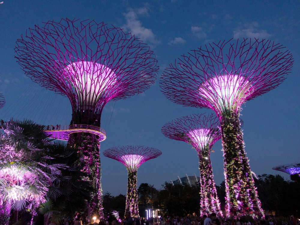 Supergroove trees at the light show of Gardens by the Bay Singap ...