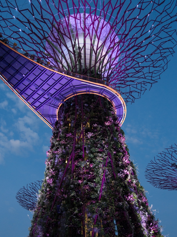 Supergroove trees at the light show of Gardens by the Bay Singapore ...