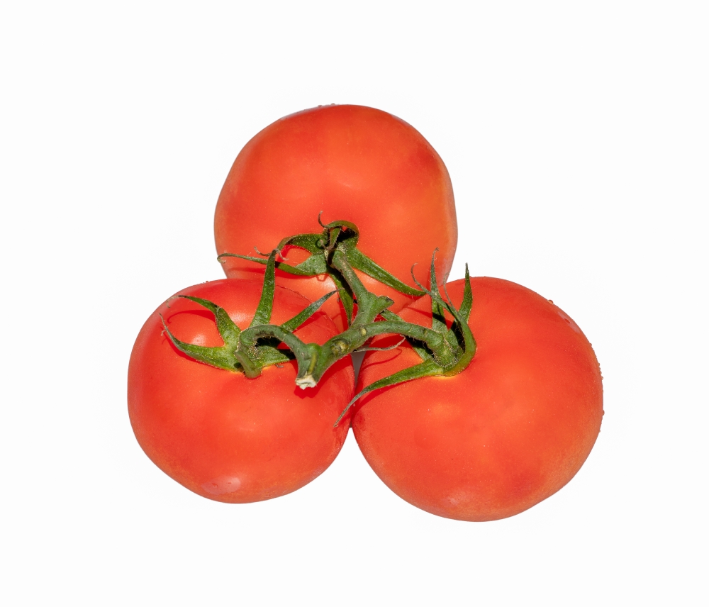 three fresh tomatoes attached to stem white background photo ima ...