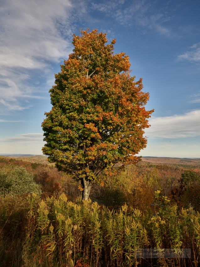 Fall scene in Vermont - Classroom Clip Art