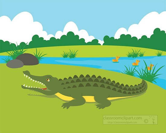 Alligator resting on grassy areas near river with blue sky cloud ...
