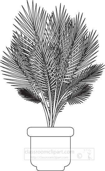Black White Outline Clipart-areca palm house plant printable cutout ...