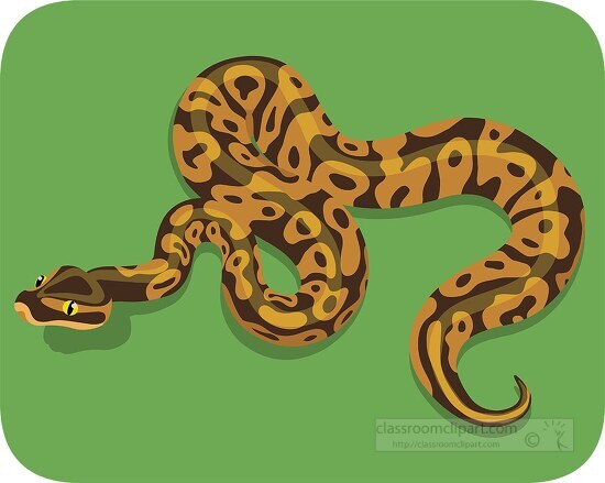 big coiled giant python snake clipart - Classroom Clip Art
