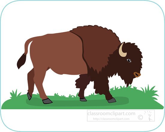 bison largest mammal in north america clipart - Classroom Clip Art