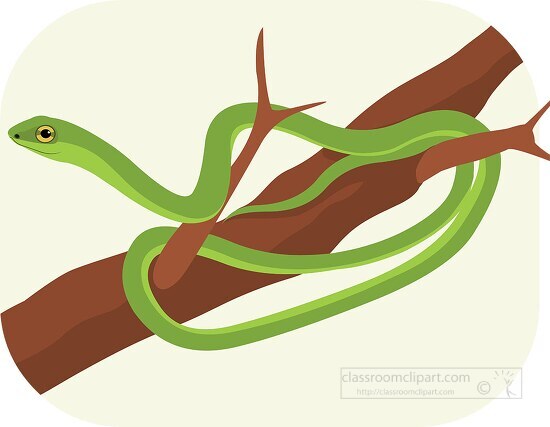 Boomslang pit viper highly venomous snake Clipart - Classroom Clip Art