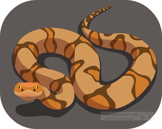 Copperhead venomous snake pit viper Clipart - Classroom Clip Art