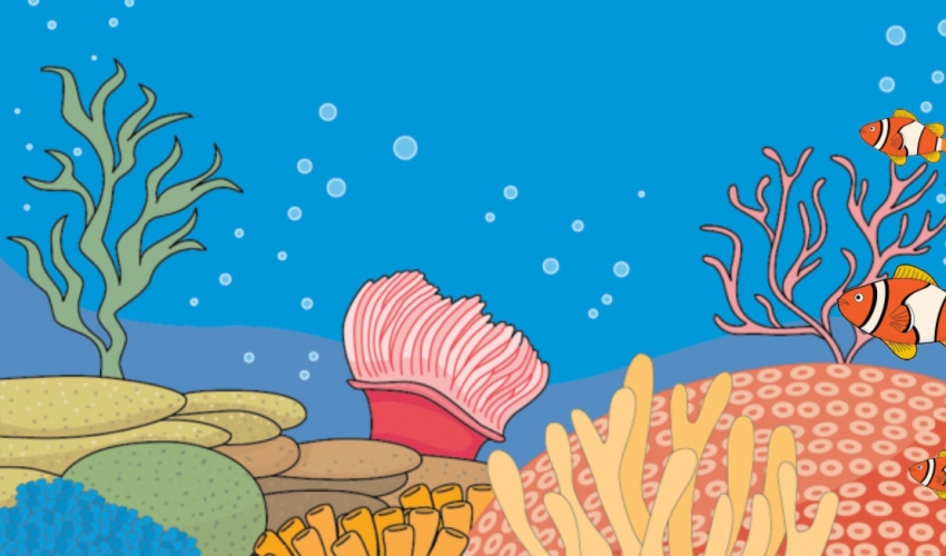 coral reef fish animation - Classroom Clip Art