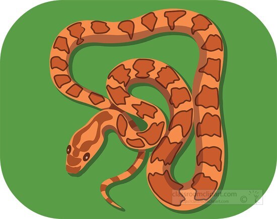 Corn Snake Reptile Animal Clipart - Classroom Clip Art
