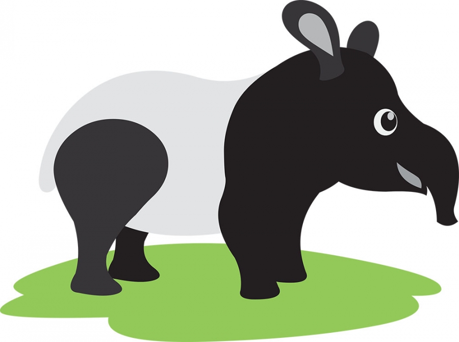 cute smiling baby tapir shows tongue in snout gray color clipart ...