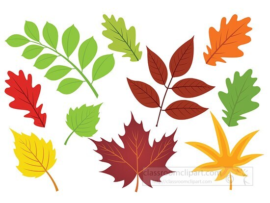 Seasonal Clipart - different types of leaves fall foliage clipart
