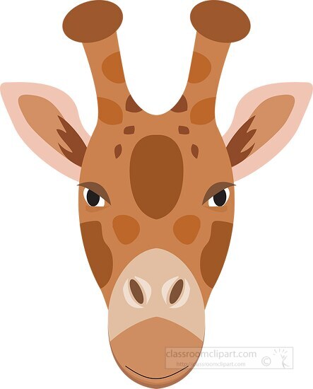 giraffe head front view vector clipart - Classroom Clip Art