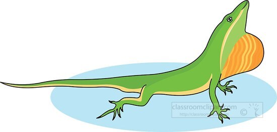 green anole lizard clipart - Classroom Clip Art