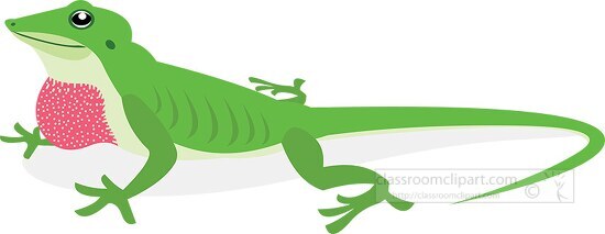 Green Anole Reptile Animal Clipart - Classroom Clip Art