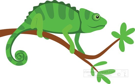 green Chameleon lizard on tree branch Clipart - Classroom Clip Art