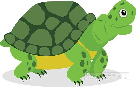 green shelled Tortoise Clipart - Classroom Clip Art