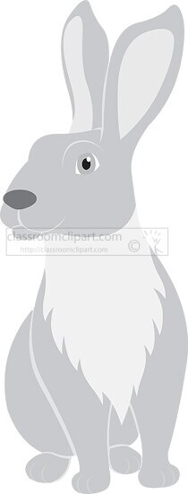long eared rabbit animal gray color clipart - Classroom Clip Art