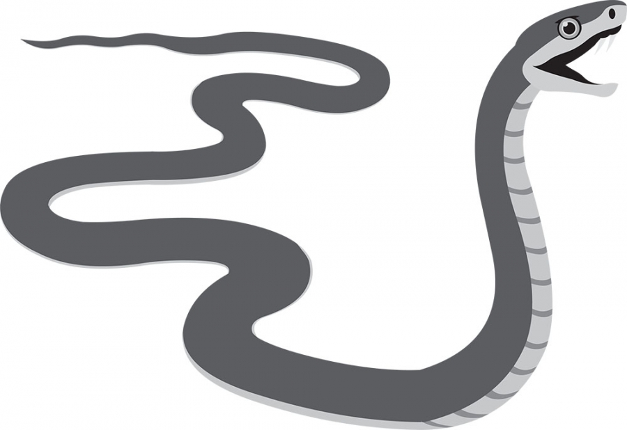 mamba highly venomous snake shows fangs gray color clipart - Classroom ...