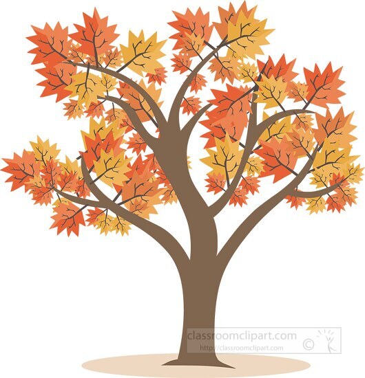maple tree fall foliage 14 - Classroom Clip Art