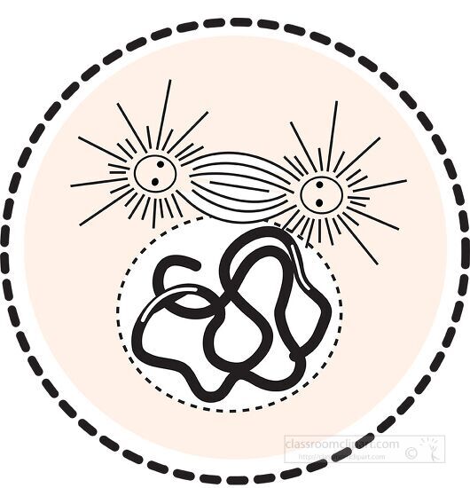 mitosis cell division 2 - Classroom Clip Art