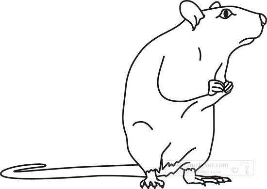 Mouse Clipart-mouse standing on hind legs outline printable clip art