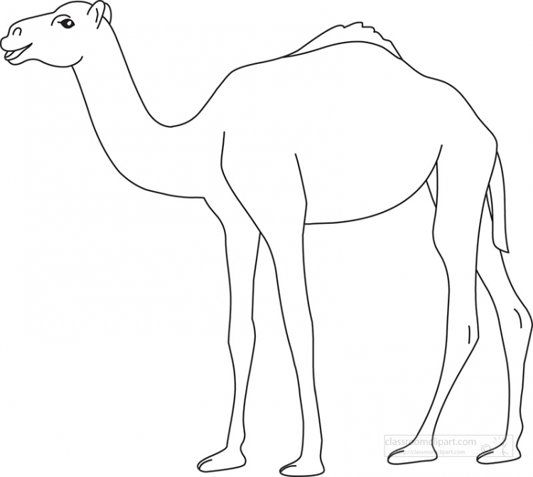 Free one humped dromedary camel black outline clipart 2 - Classroom Clipart