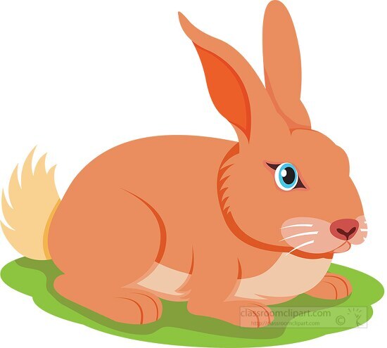 rabbit clipart 614 - Classroom Clip Art