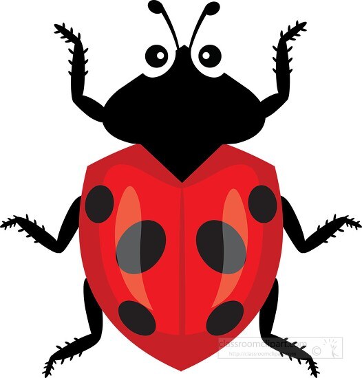 red black Ladybug beetle Clipart - Classroom Clip Art