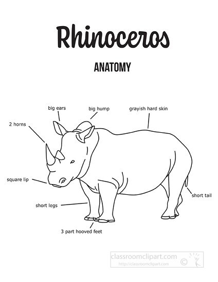 Rhinoceros Clipart-rhinoceros illustration of anatomy printable outline ...