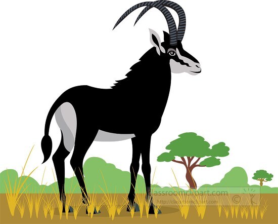 Antelope Photos-sable antelopes color Illustration