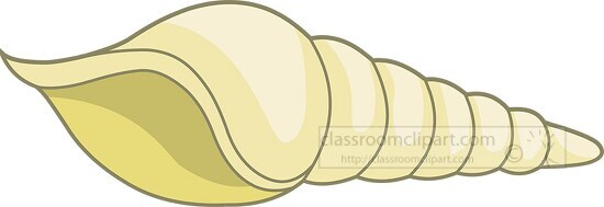 Sea Shells-sea shell clipart 721