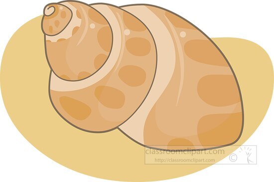 sea shells clipart 02 - Classroom Clip Art