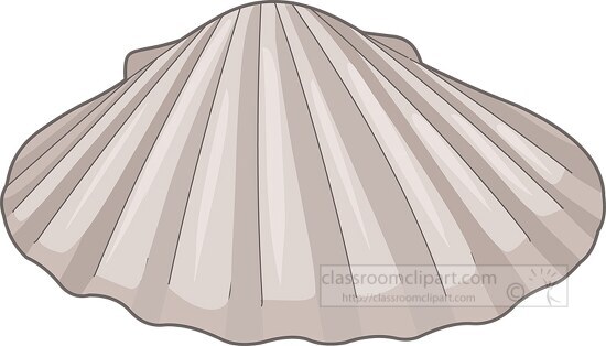 small mollusk seashell 12 - Classroom Clipart
