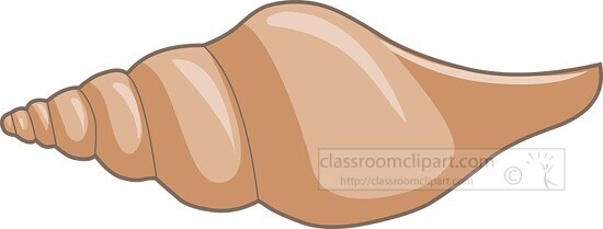 sea shells clipart 08 - Classroom Clip Art