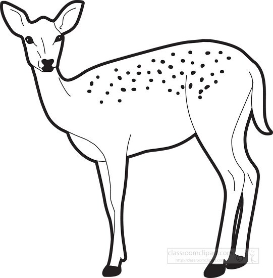 deer black white outline 914 - Classroom Clip Art