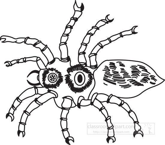spider black outline clipart 10 - Classroom Clip Art