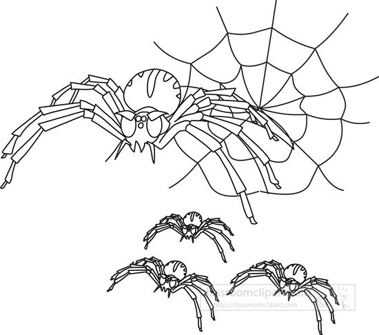 spider web baby spiders outline - Classroom Clip Art