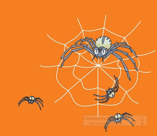 spider web baby spiders - Classroom Clip Art