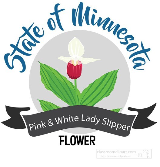 Free state flower of minnesota pink white lady slipper clipart ...