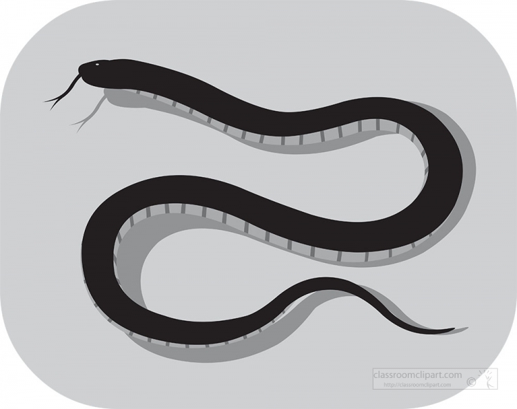 Free taipan worlds most venomous snake reptile gray color clipart ...
