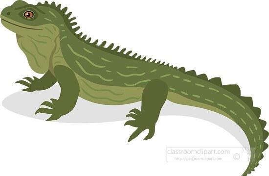 Tuatara Reptile of new zealand Clipart - Classroom Clip Art