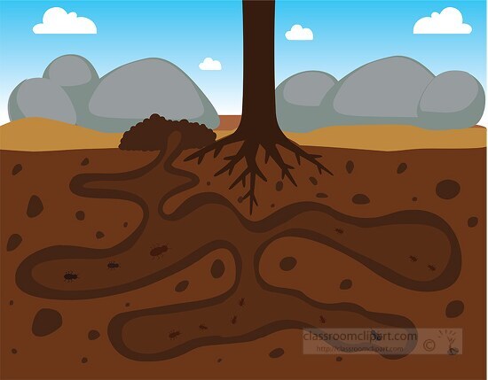 Insect Clipart-underground ant colony nest clip art