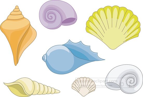 variety seashells clipart with white background clipart 5734 ...