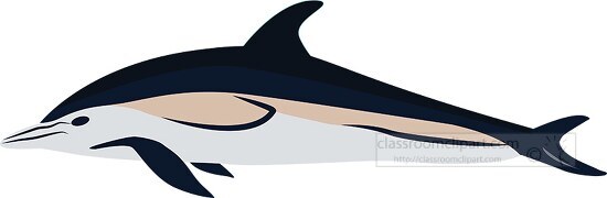 vector illustration of dolphin clipart - Classroom Clip Art